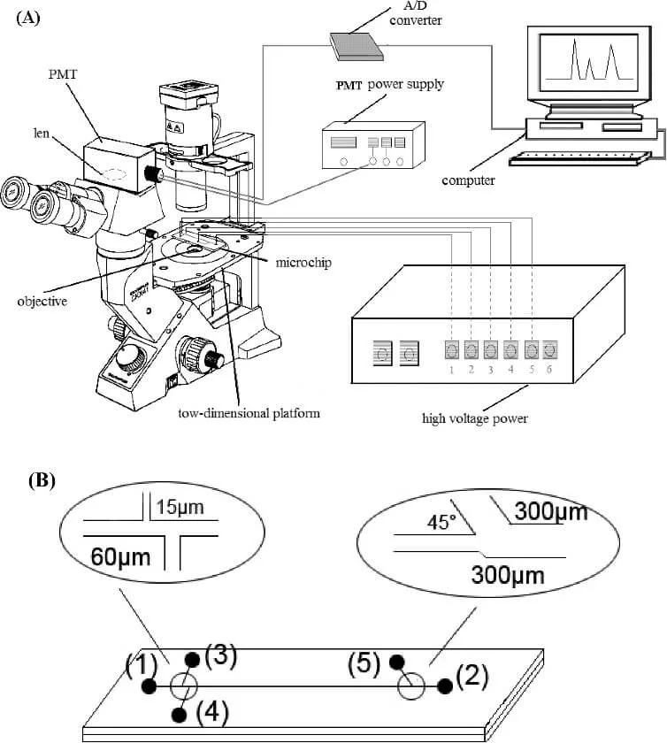 Optical detection techniques for microfluidics - Microfluidics ...